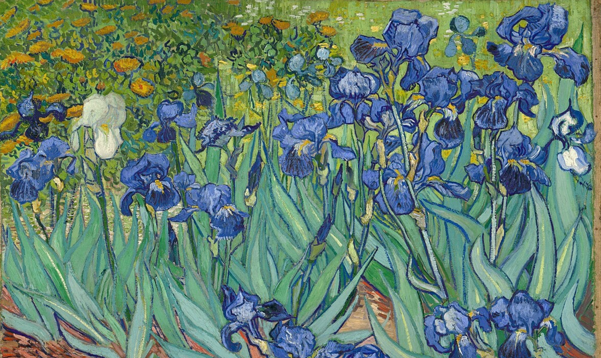 100% natural mulberry silk - Irisis Art Scarf - Van Gogh Collection ...